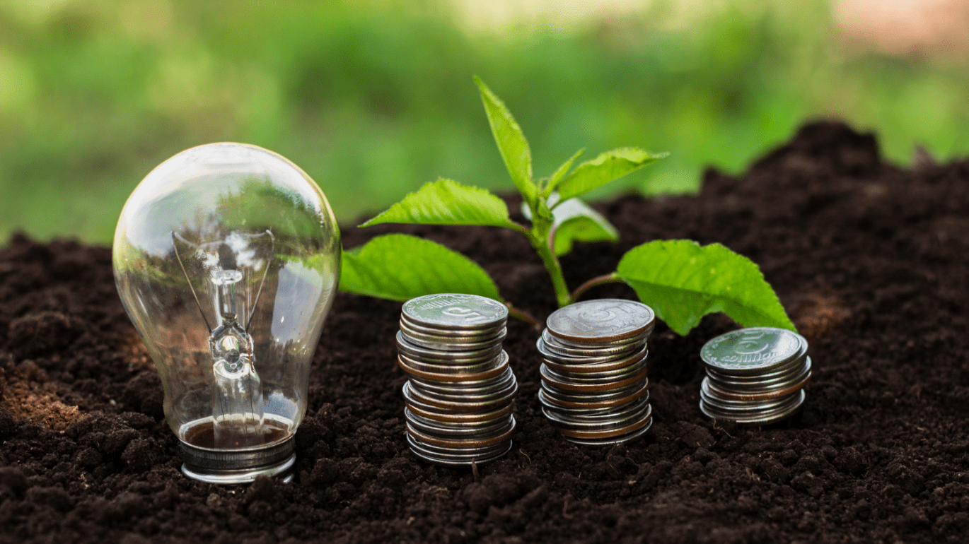 Alpha Ascent Consulting - Alpha Ascent Consulting Ltd